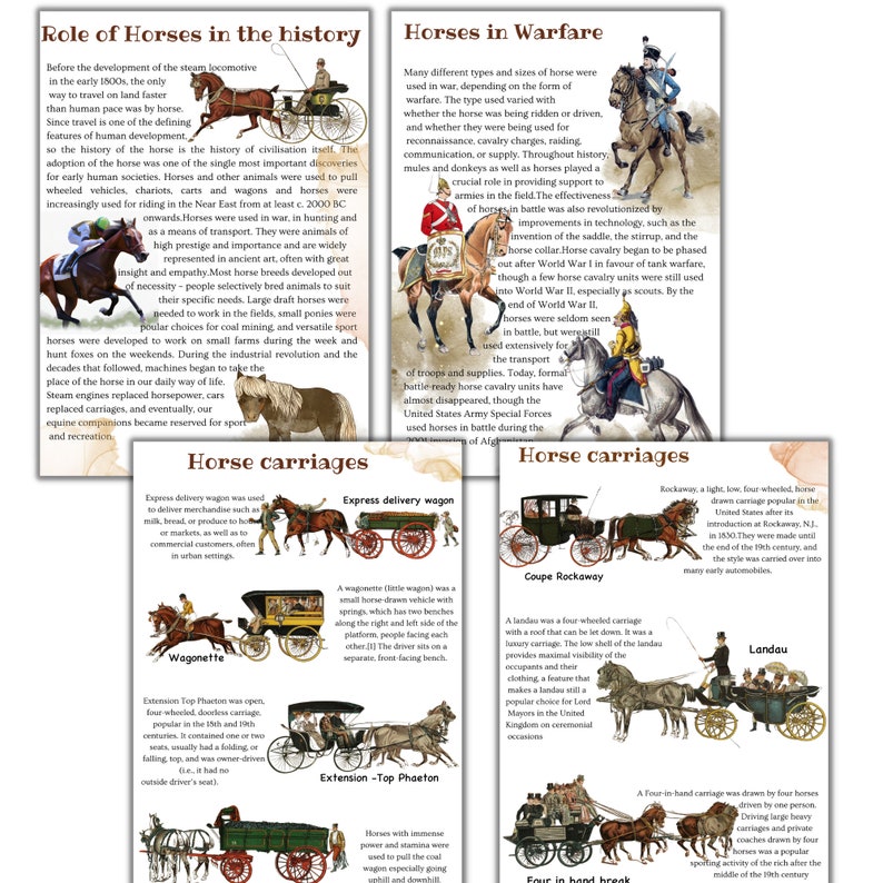 Horse Unit Study Horse 3 Part Cards Horse Activities Horse - Etsy