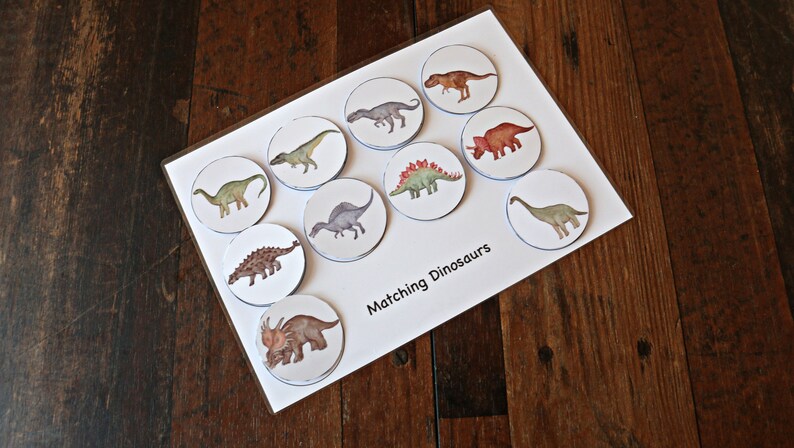 Dinosaurs Matching Printable, Dinosaurs Unit Study, Names of Dinosaurs ...
