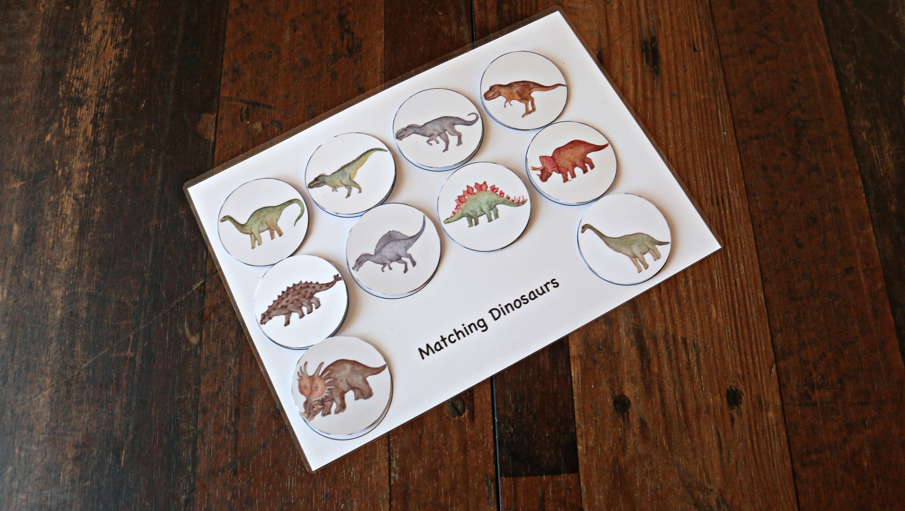 Dinosaurs Matching Printable, Dinosaurs Unit Study, Names of Dinosaurs ...