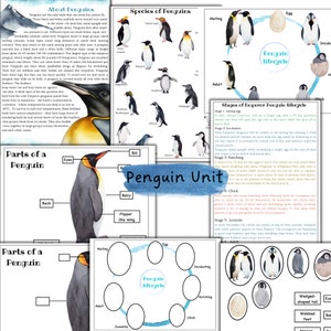 Polar Regions Unit Study, Arctic Unit Study, Antarctica Unit Study ...