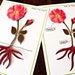 Parts of a Plant, Anatomy of a Plant, 3 Part Cards of Plant, Plant ...