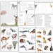 Mammals Unit Study, Elephant Unit Study, Bat Unit Study, Whale Unit ...