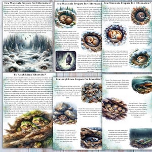 Hibernation Unit Study, Winter Sleep Unit Study, Winter Unit, Winter ...