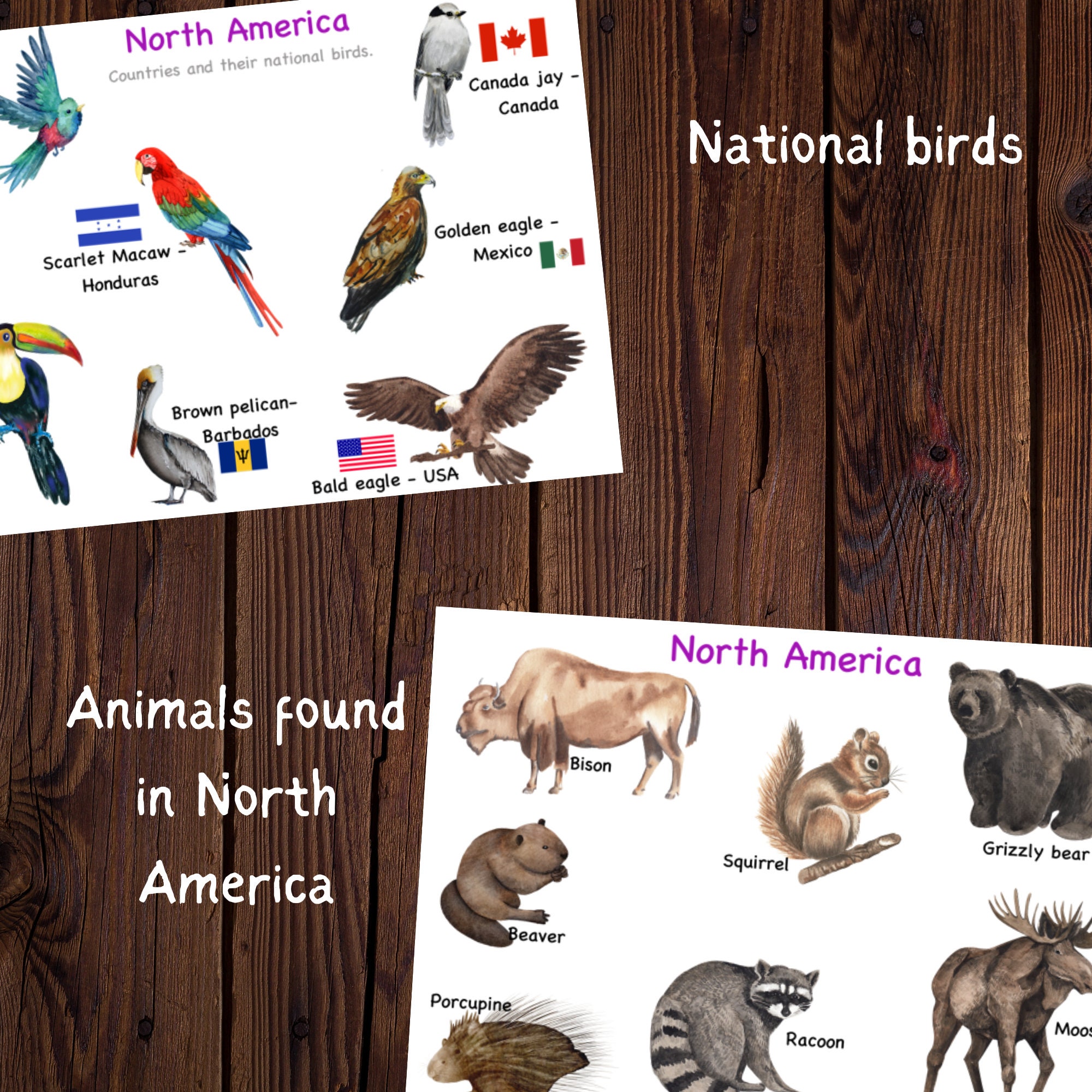 North America Unit Printable, North America Landmarks, North America ...