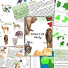 Desert Unit Study, Camel Unit Study, Desert Activities, Biome Unit ...