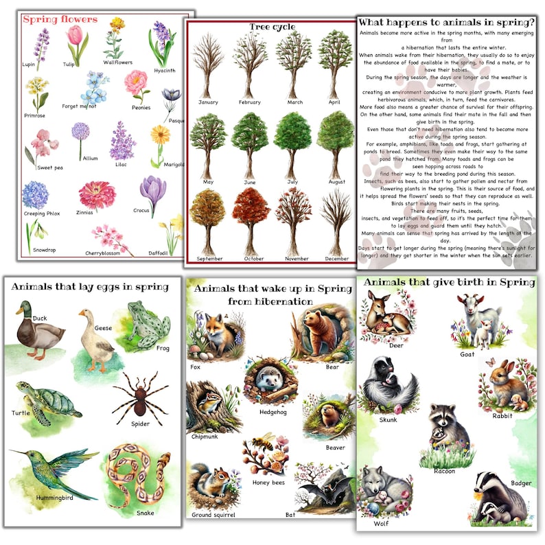 Spring Unit Study, Nature Study, Daffodil Unit Study, Squirrel Unit ...