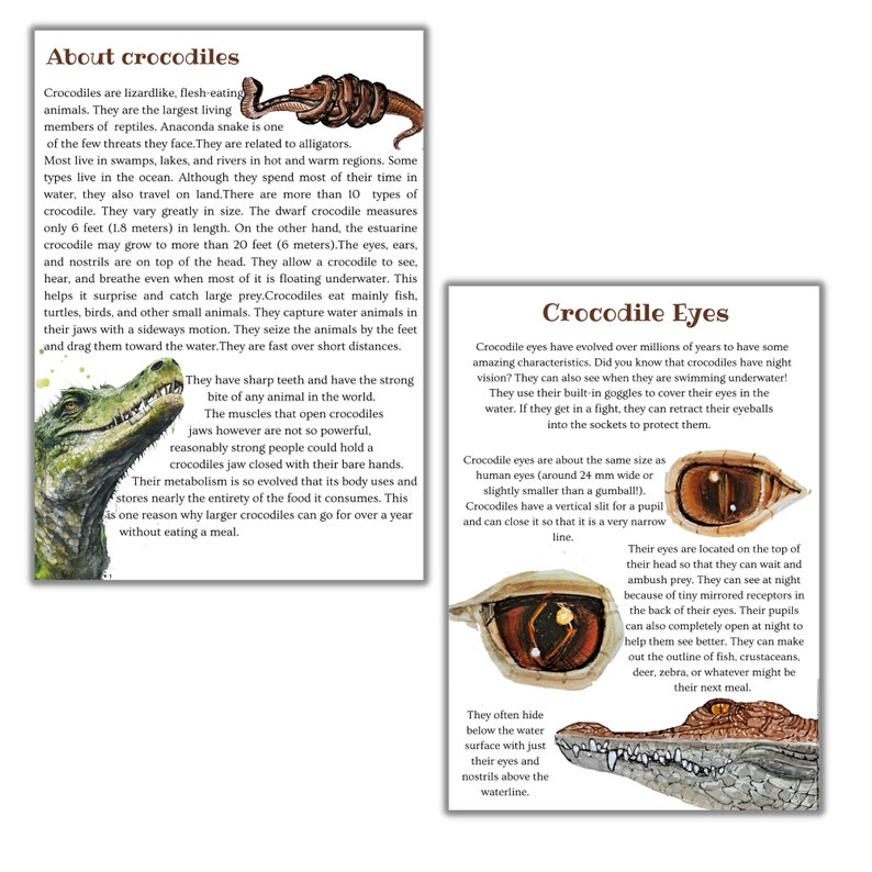 Crocodile Mini Unit Study, Crocodile Puzzle Printable, Crocodile ...