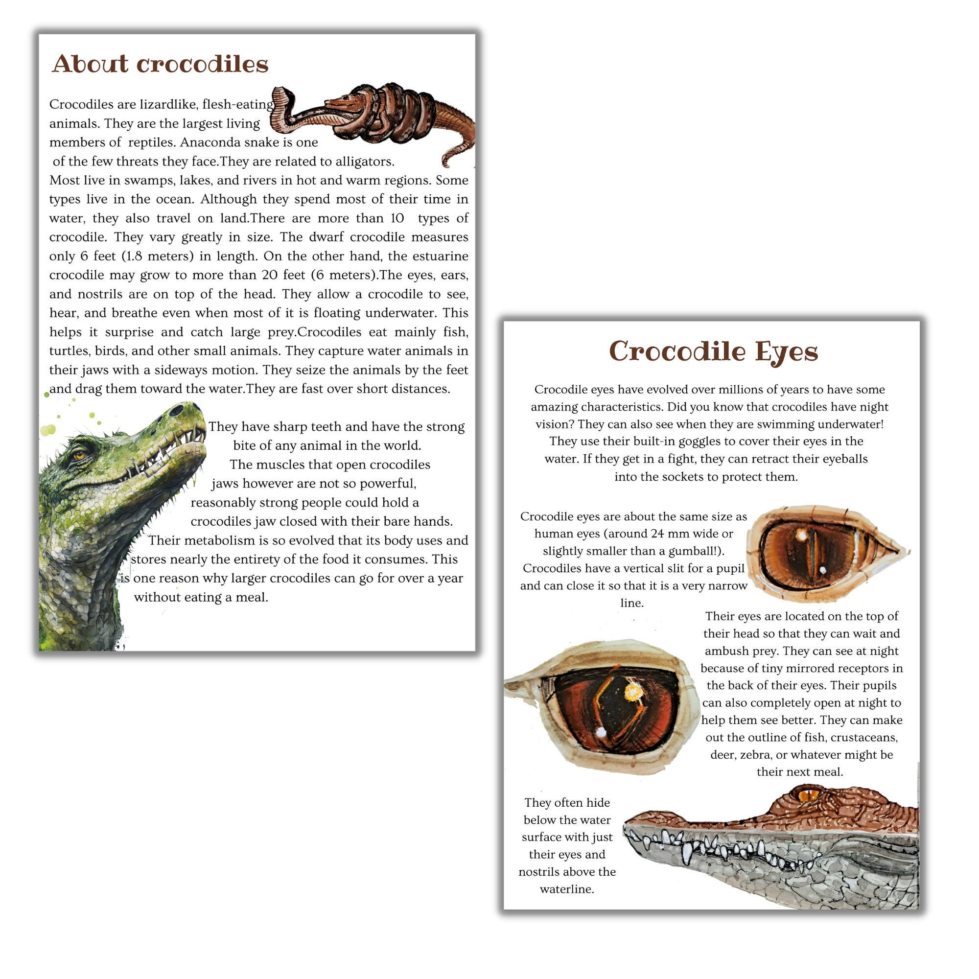 Crocodile Mini Unit Study, Crocodile Puzzle Printable, Crocodile ...
