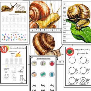 Snail Unit Study, Garden Snail Printable, Nature Study, Summer ...