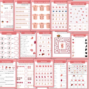 Human Body Unit Study, Skeleton Anatomy, Heart Anatomy, Brain Anatomy ...