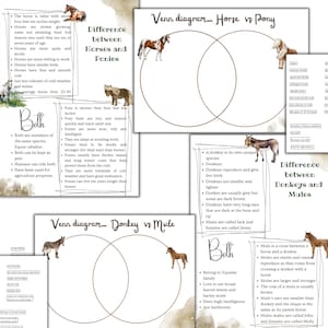 Horse Unit Study, Horse 3 Part Cards, Horse Activities, Horse Homeschool, Horse Anatomy, Horse ...