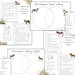 Horse Unit Study, Horse 3 Part Cards, Horse Activities, Horse ...