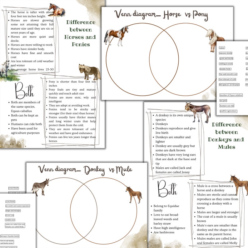Horse Unit Study Horse 3 Part Cards Horse Activities Horse - Etsy