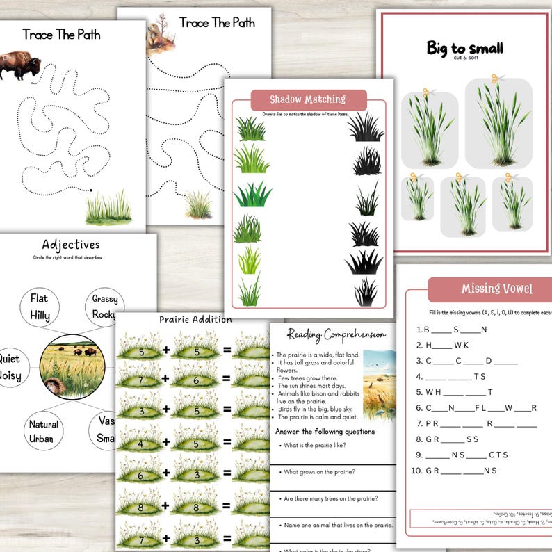 Prairie Unit Study, Biome Unit Study, Prairie Food Pyramid, Prairie ...