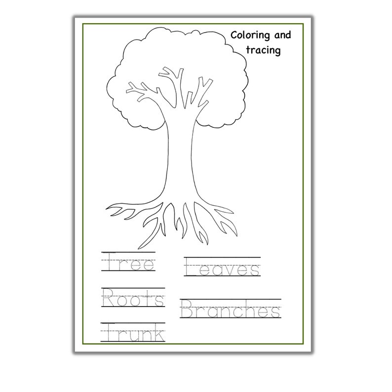 Parts of a Tree Puzzle , Tree Unit Study, Tree Anatomy, 3 Part Cards ...