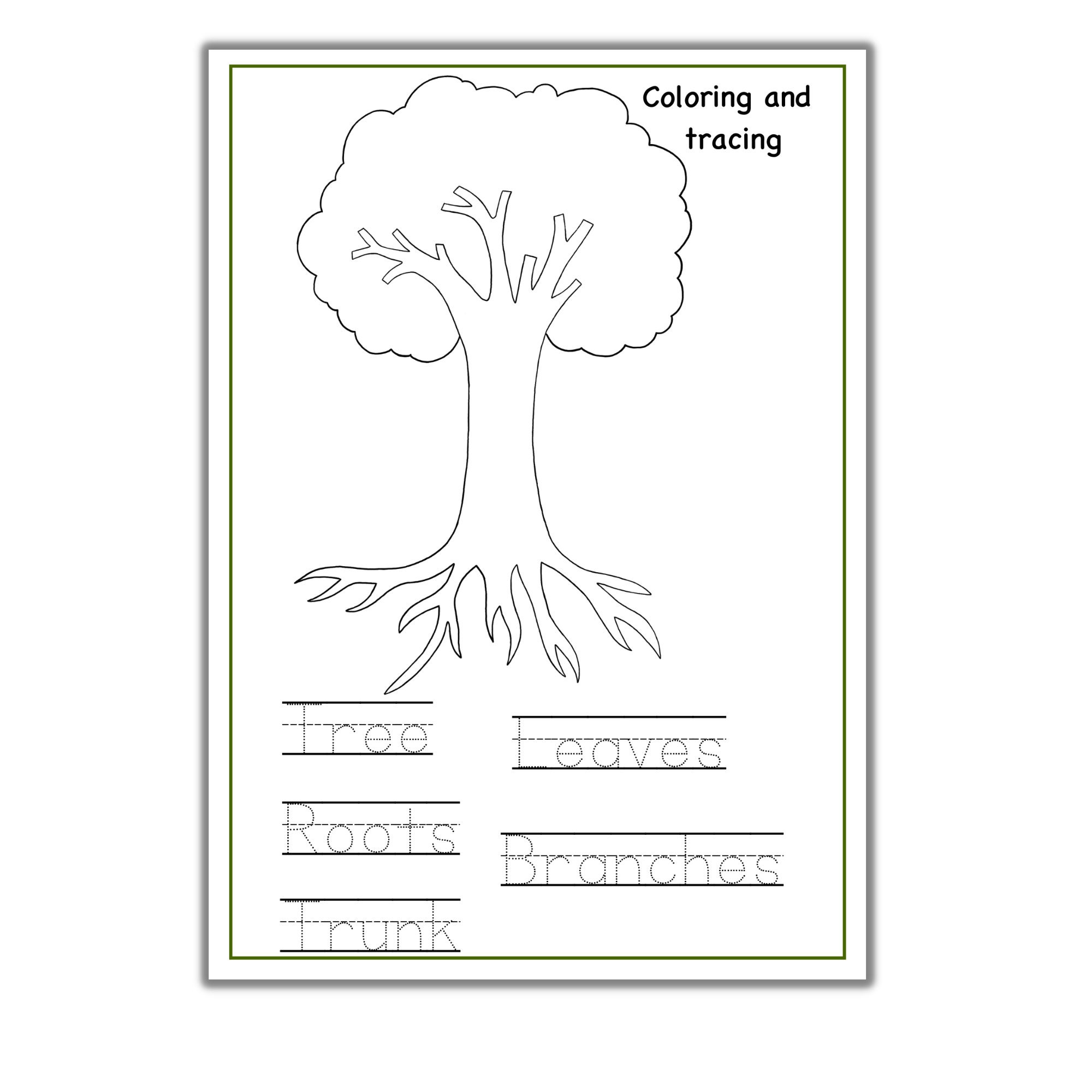 Parts of a Tree Puzzle , Tree Unit Study, Tree Anatomy, 3 Part Cards ...