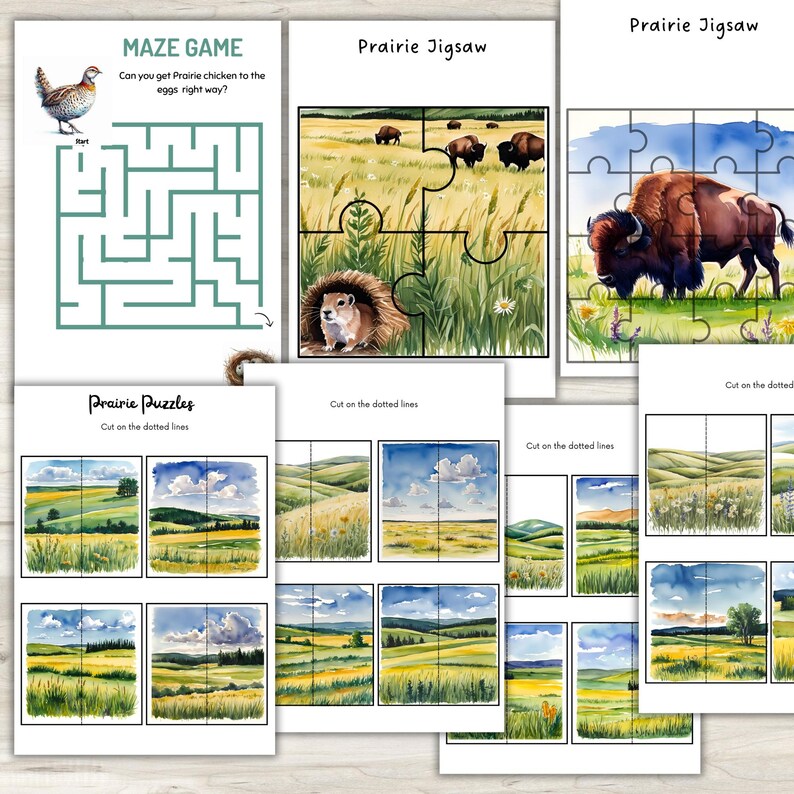 Prairie Unit Study, Biome Unit Study, Prairie Food Pyramid, Prairie ...