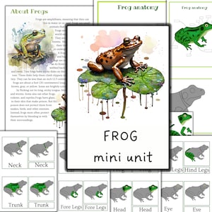 Frog Unit Study, Frog 3 Part Cards, Frog Printable Puzzle, Amphibian ...