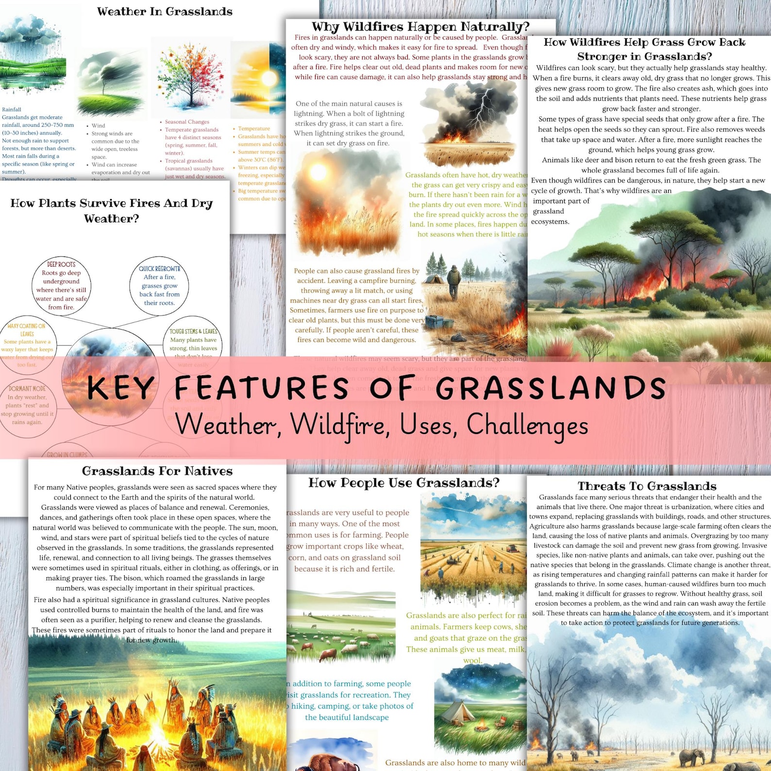 Grasslands Unit Study, Biome Unit Study, Wheat Unit Study, Grass Life ...