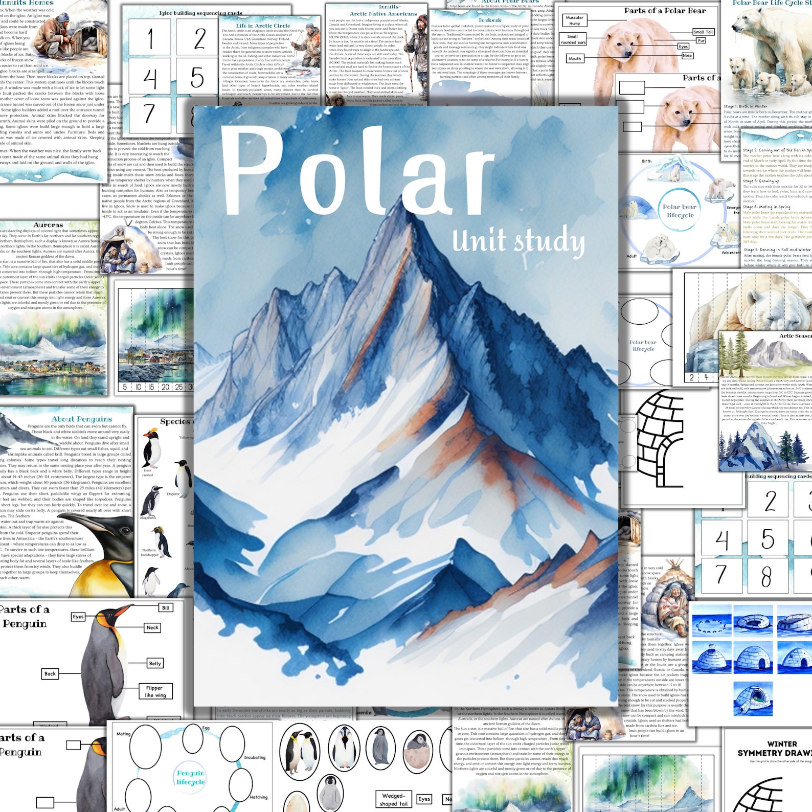 Polar Regions Unit Study, Arctic Unit Study, Antarctica Unit Study ...