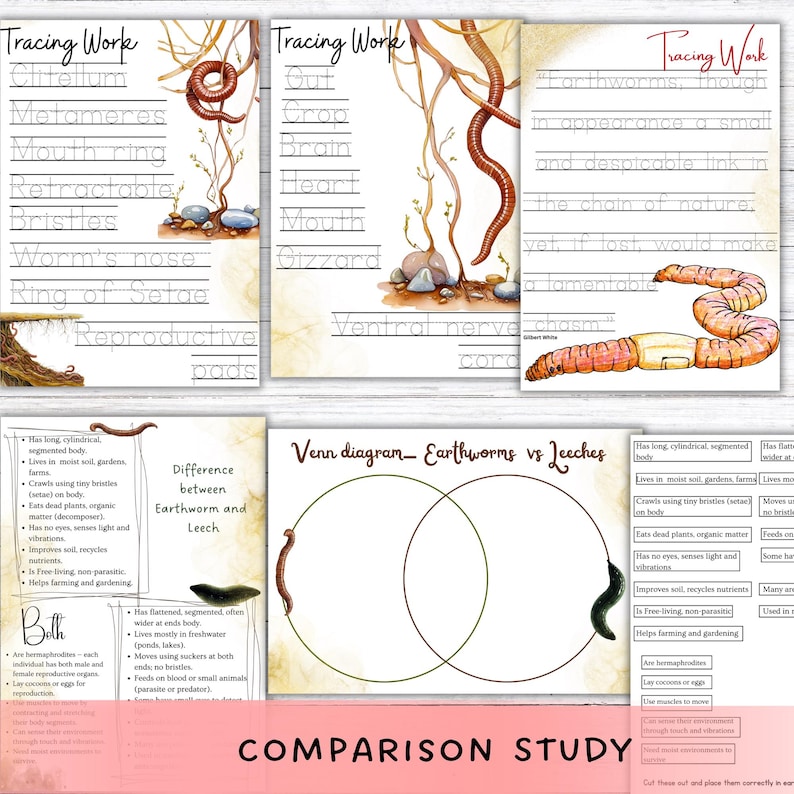 Earthworm Unit Study, Decomposer Unit Study, Nature Study, Homeschool ...