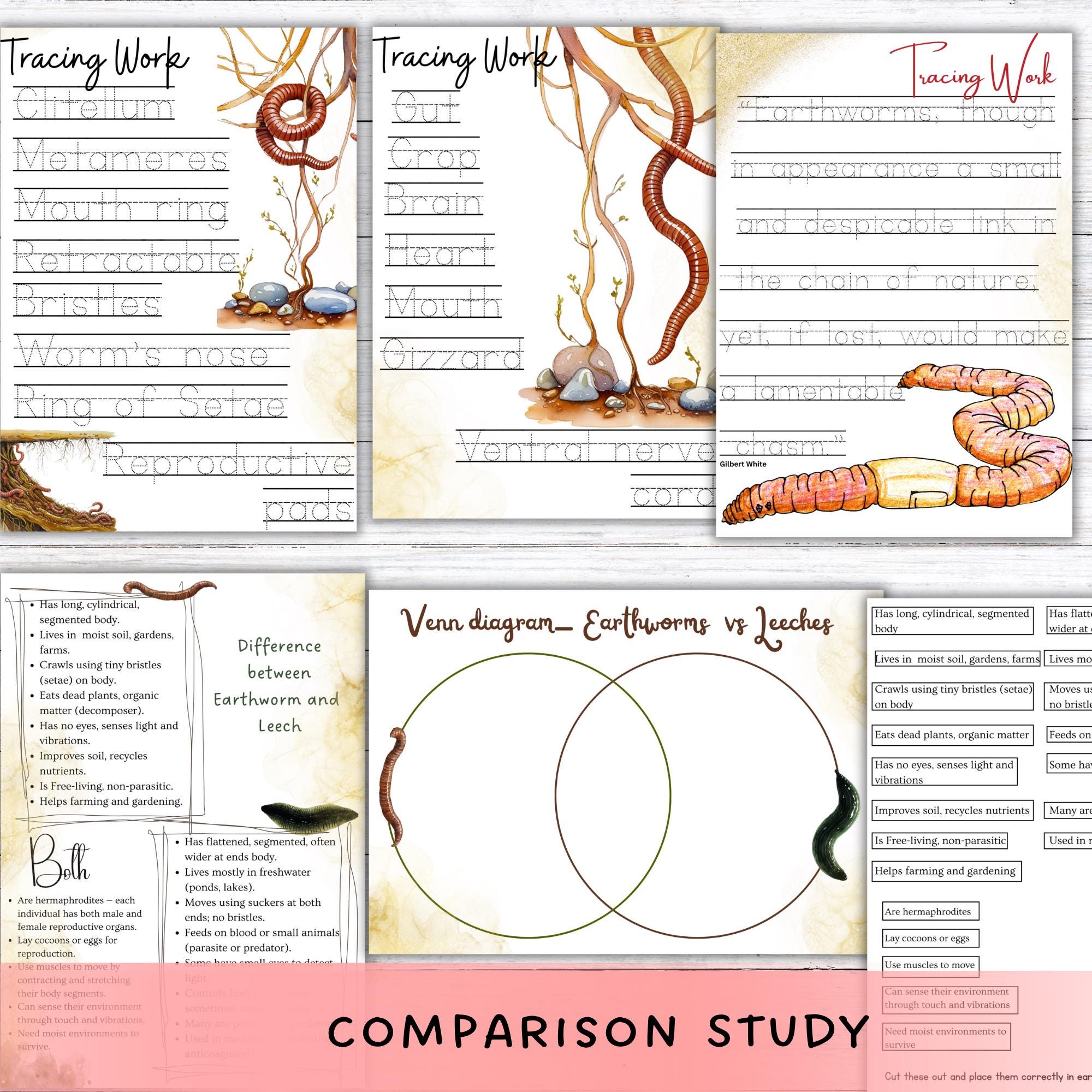 Earthworm Unit Study, Decomposer Unit Study, Nature Study, Homeschool ...