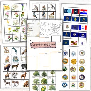 USA 50 States and State Capitals, Geography Lessons, 50 States of USA ...