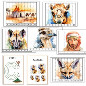 Desert Unit Study, Camel Unit Study, Desert Activities, Biome Unit ...