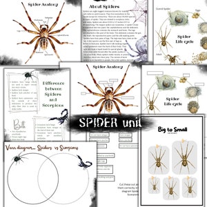 HALLOWEEN UNIT STUDY, Spider Unit Study, Raven Unit Study, Pumpkin Unit ...