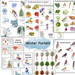 Winter Unit Study, Winter Forest Animals, Snow Unit Study, Carrot Unit ...