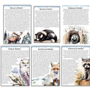 Winter Forest Animals Unit Study, Winter Activities, Animal Tracks Unit ...