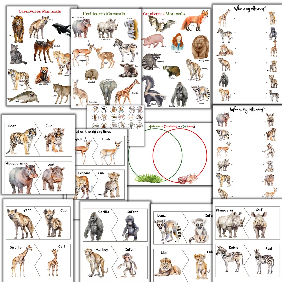 Mammals Unit Study, Elephant Unit Study, Bat Unit Study, Whale Unit ...