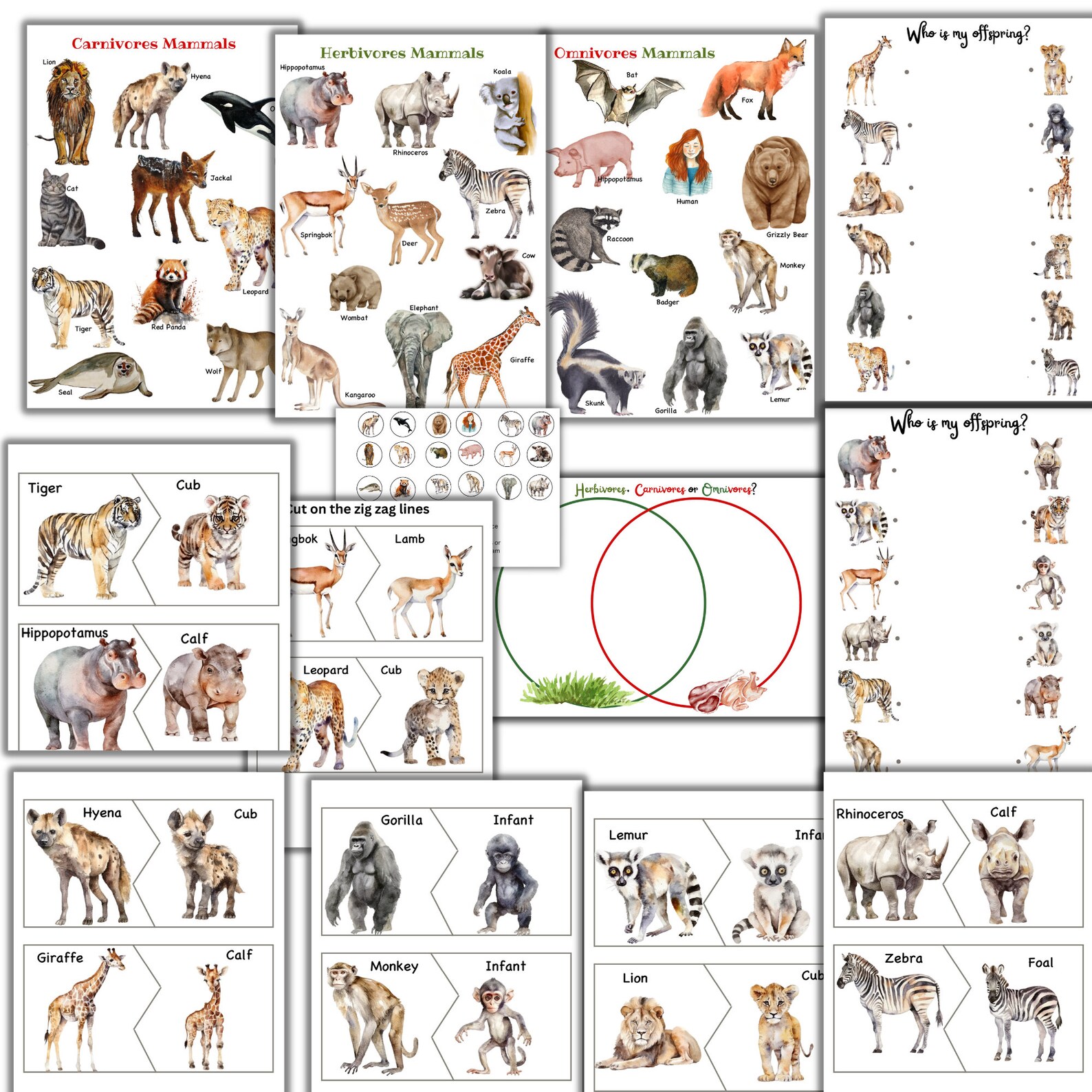 Mammals Unit Study, Elephant Unit Study, Bat Unit Study, Whale Unit ...