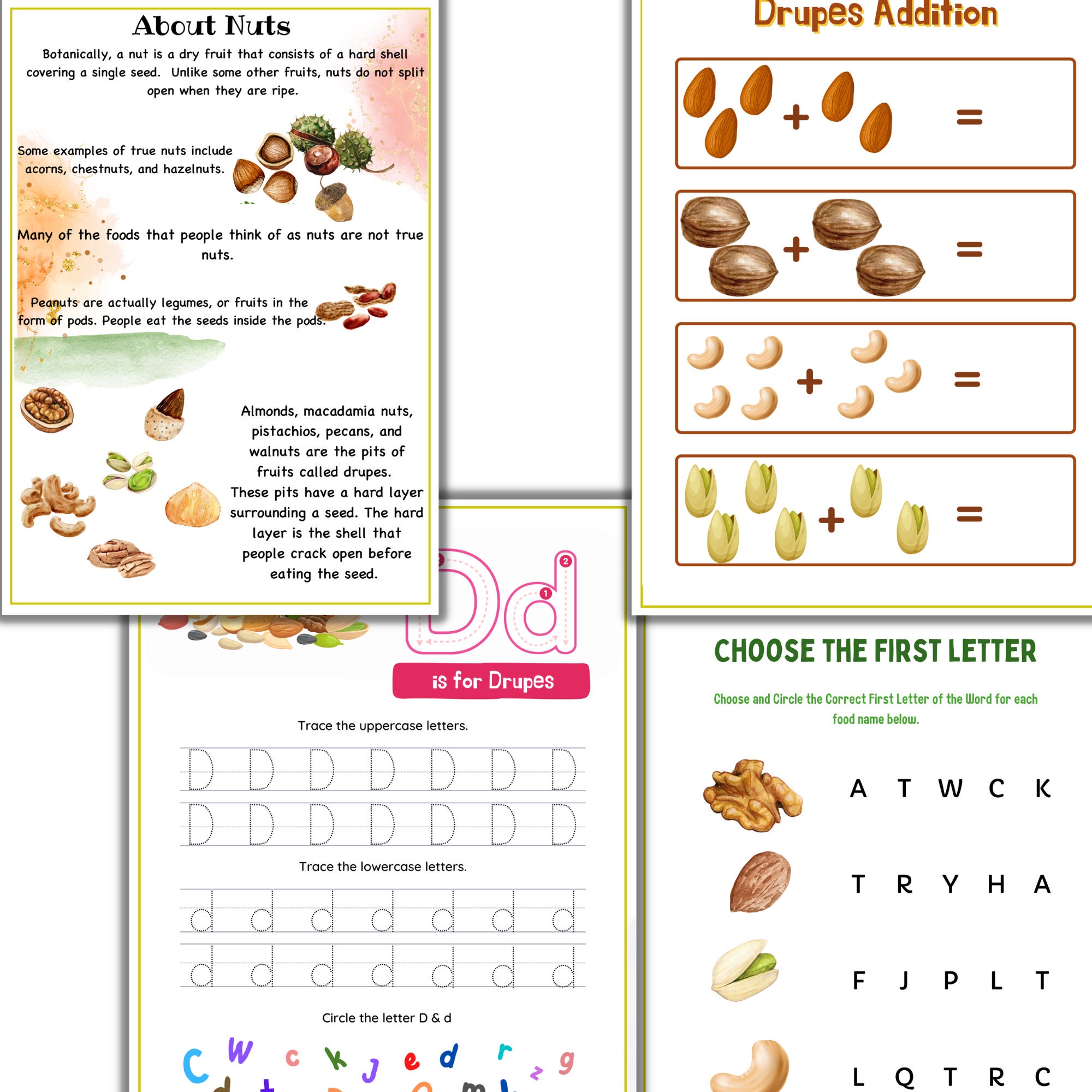 Nuts Unit Study, Drupes Unit, Cashew Life Cycle, Pistachio Life Cycle ...