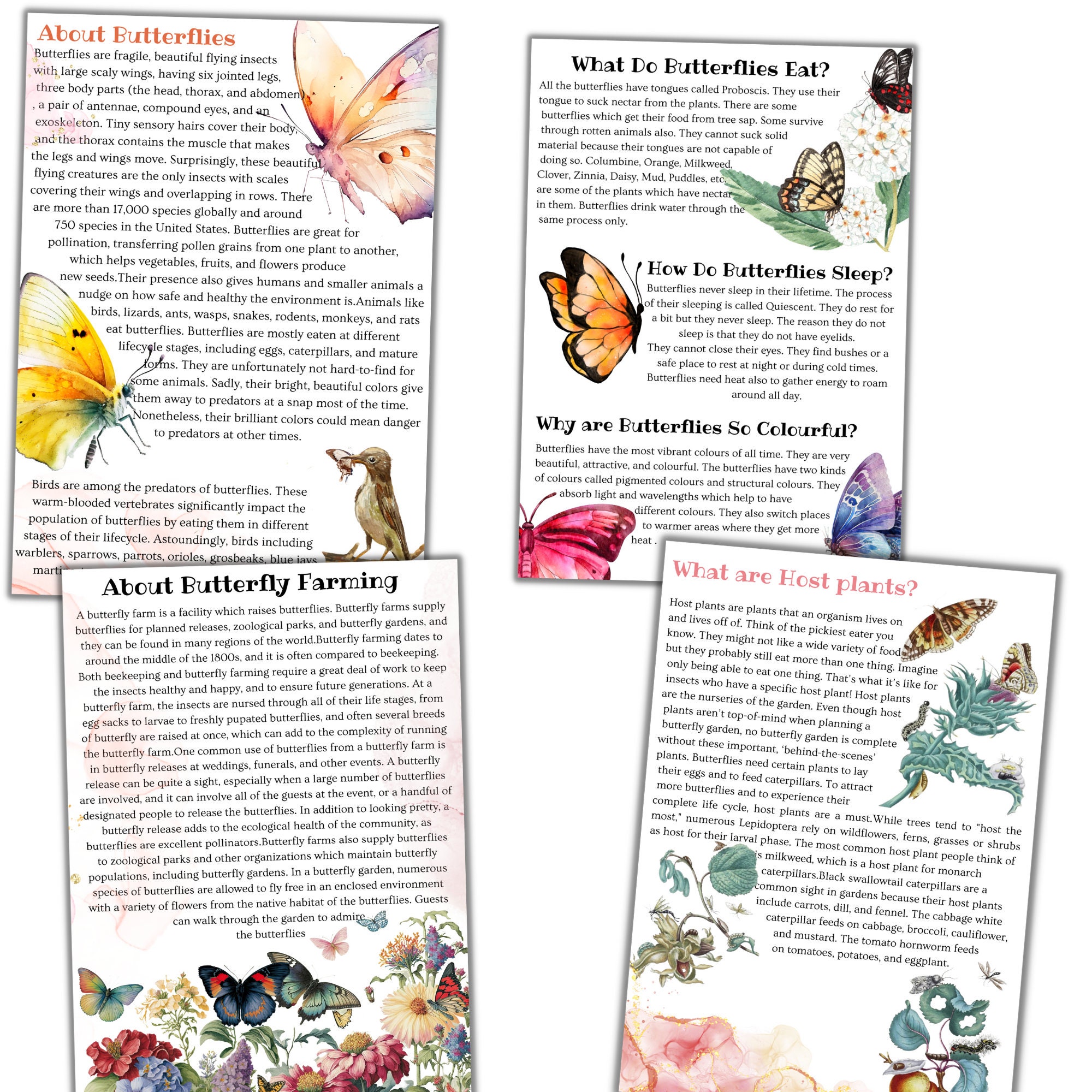 Butterfly Unit Study, Butterfly Printable Puzzle, Butterfly 3 Part ...