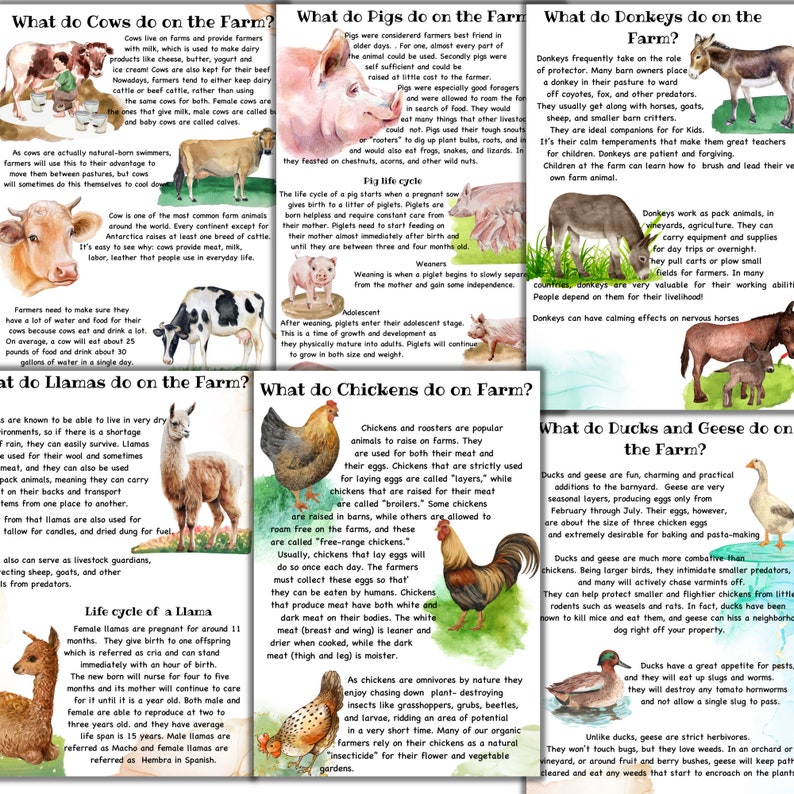 Farm Unit Study Chicken Unit Study Farm Animals Activities - Etsy