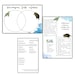 Sea Turtle Mini Unit, Turtle Printable Puzzle, Turtle 3 Part Cards ...