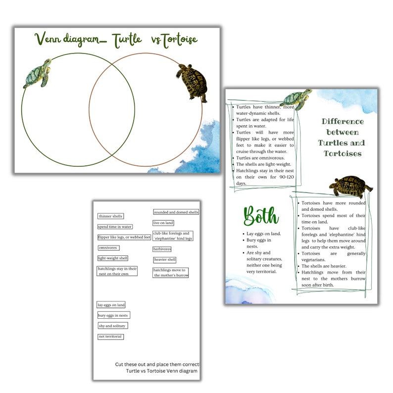 Sea Turtle Mini Unit, Turtle Printable Puzzle, Turtle 3 Part Cards ...