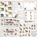 Cat Unit Study, Cat Anatomy, Tiger Anatomy, Big Cats Unit, Cat ...