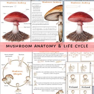 MUSHROOMS UNIT STUDY, Fungi Unit Study, Mushroom Printable, Autumn ...