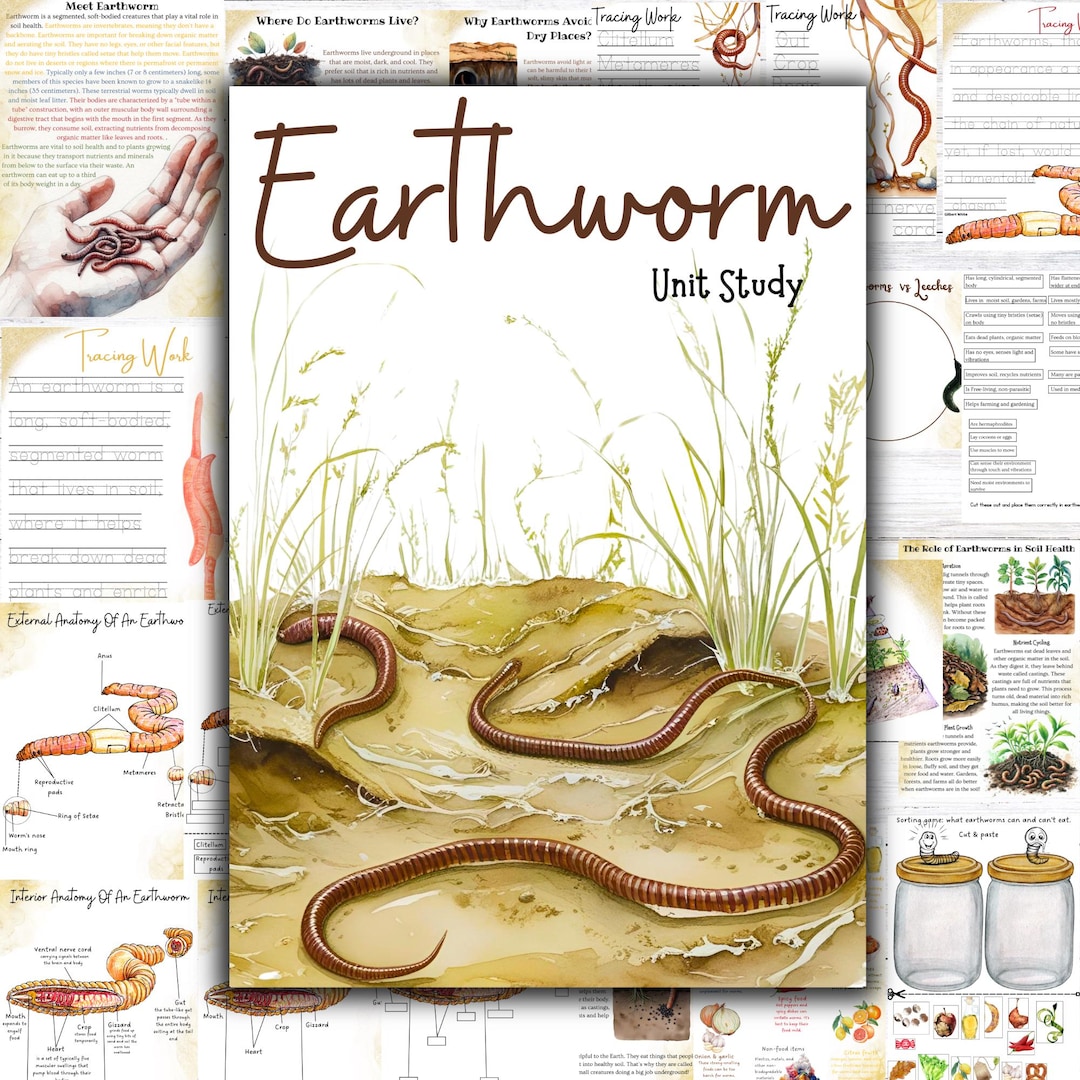 Earthworm Unit Study, Decomposer Unit Study, Nature Study, Homeschool ...