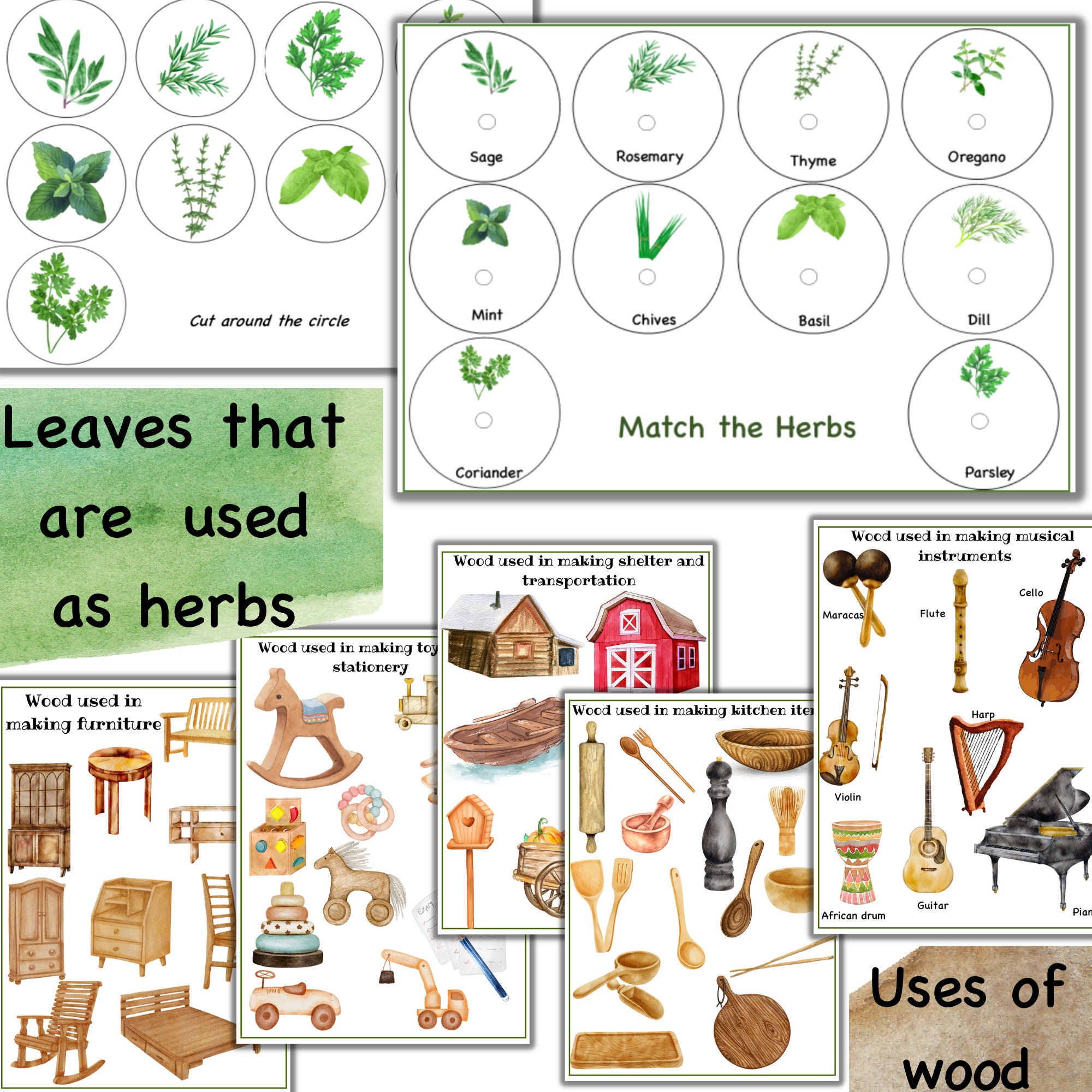 Trees Leaves Unit Study Tree Forms Parts of a Tree Parts of - Etsy