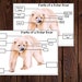 Polar Bear Mini Unit Printable, Polar Bear Anatomy, Polar Bear ...