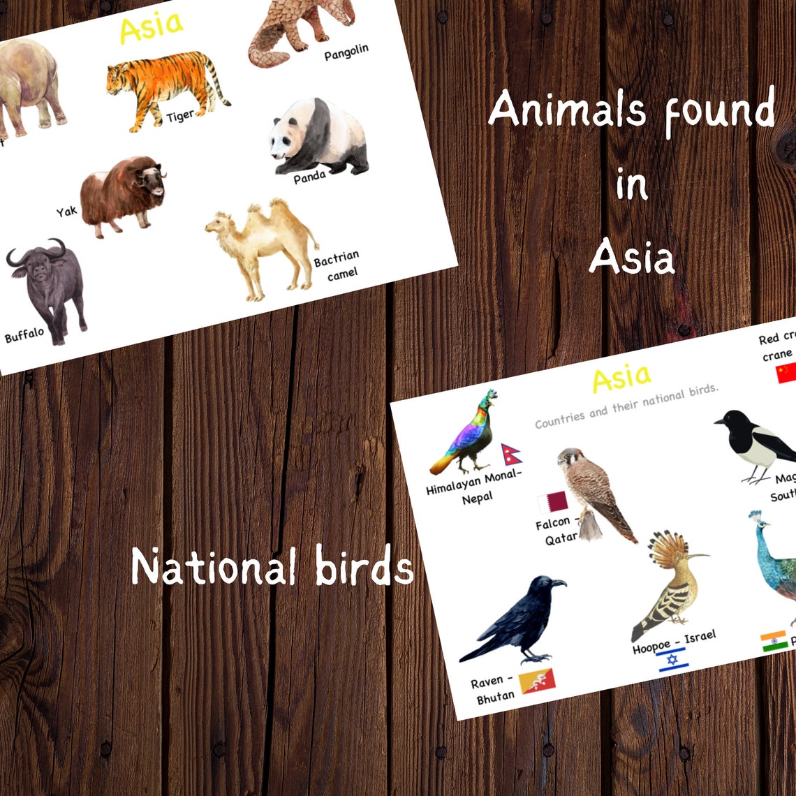 Asia Unit Printable, Asia Puzzle, Asia 3 Part Cards, Asia Landmarks ...