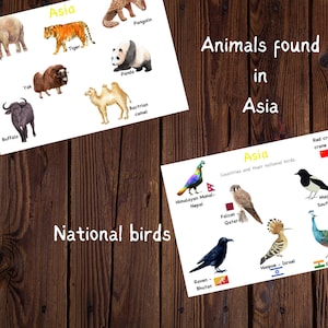 Asia Unit Printable, Asia Puzzle, Asia 3 Part Cards, Asia Landmarks ...