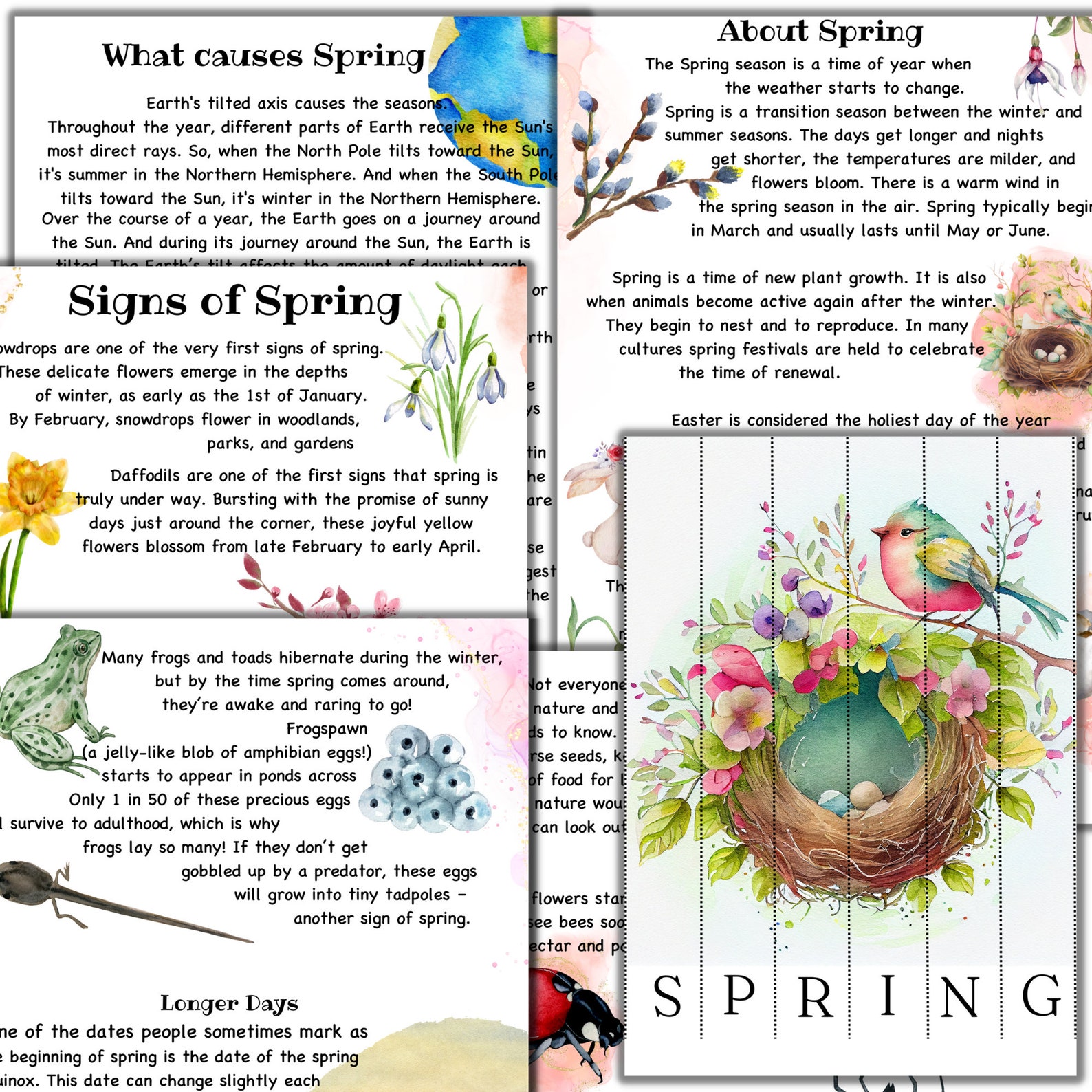 Spring Unit Study, Nature Study, Daffodil Unit Study, Squirrel Unit ...