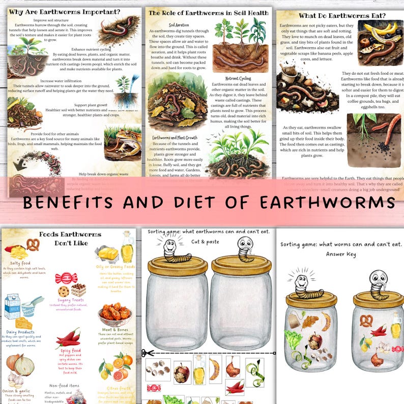 Earthworm Unit Study, Decomposer Unit Study, Nature Study, Homeschool ...