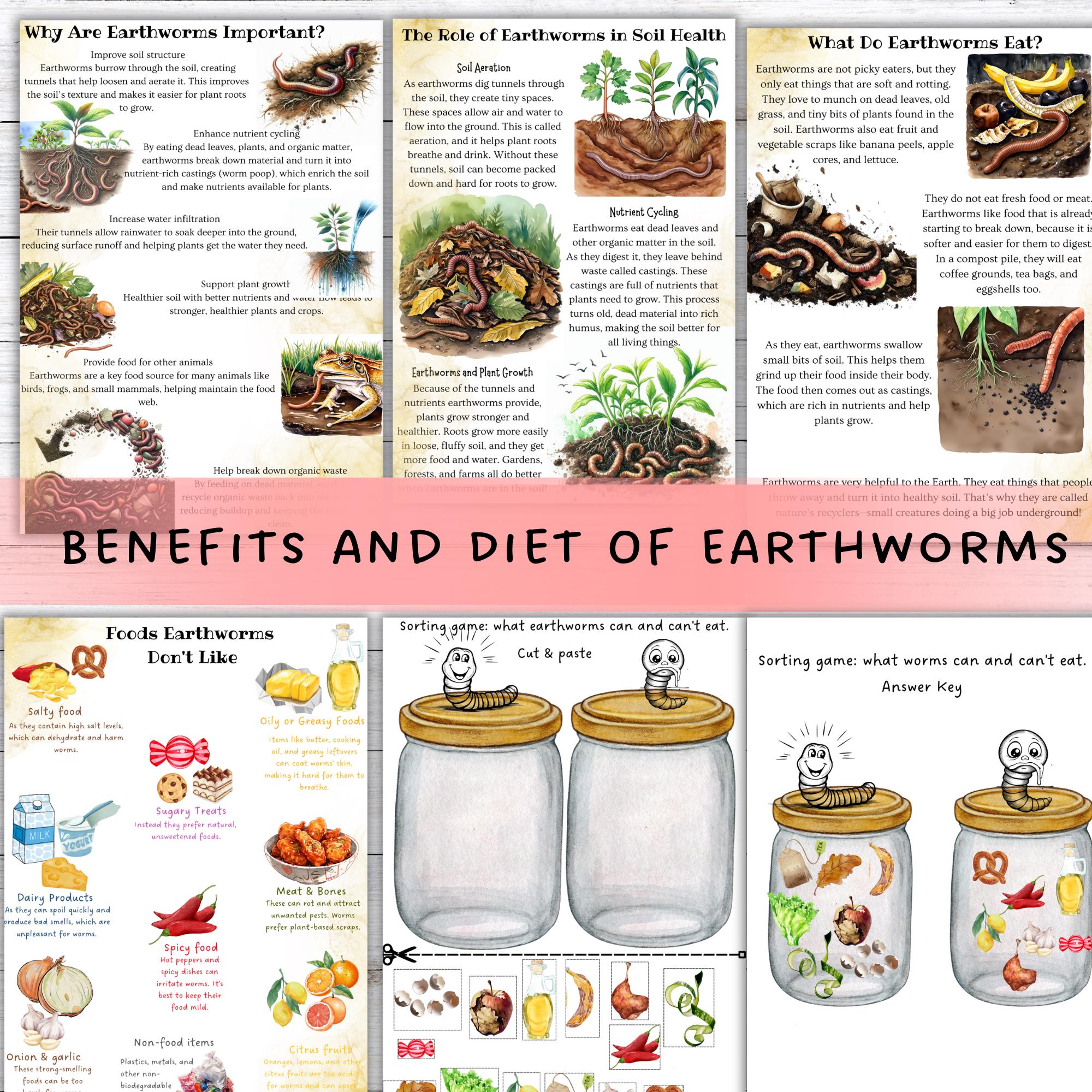 Earthworm Unit Study, Decomposer Unit Study, Nature Study, Homeschool ...