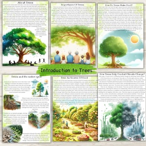 Trees Leaves Unit Study, Tree Forms, Parts of a Tree, Parts of Leaf ...