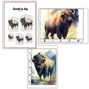 Bison Mini Unit Study, Bison Anatomy, Hoemschool Nature Study, North ...